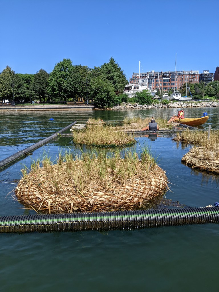 Floating Wetlands
